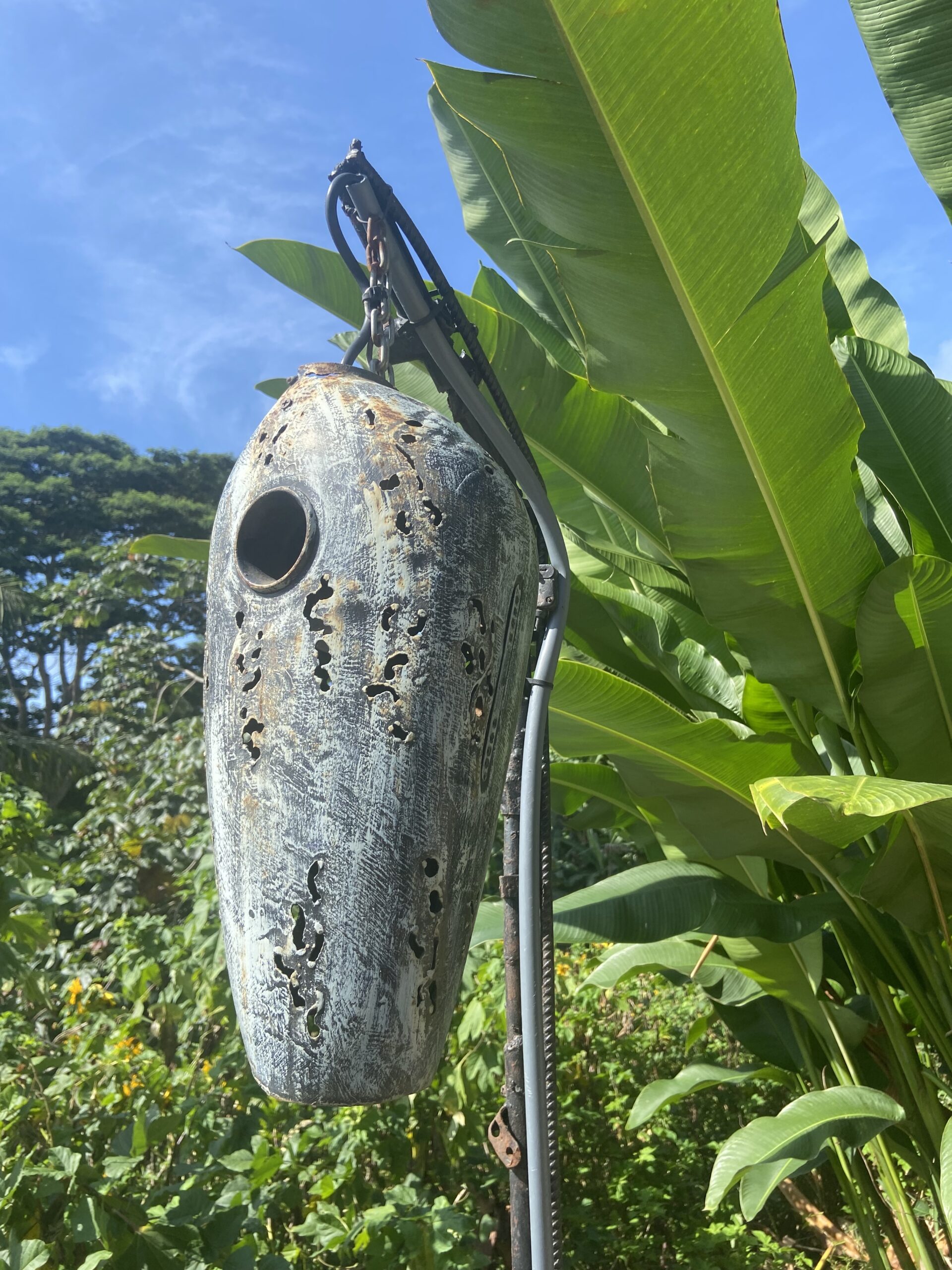 São Tomé: Relaxation and Tasting Trepidation on the Mountain - Gift of ...
